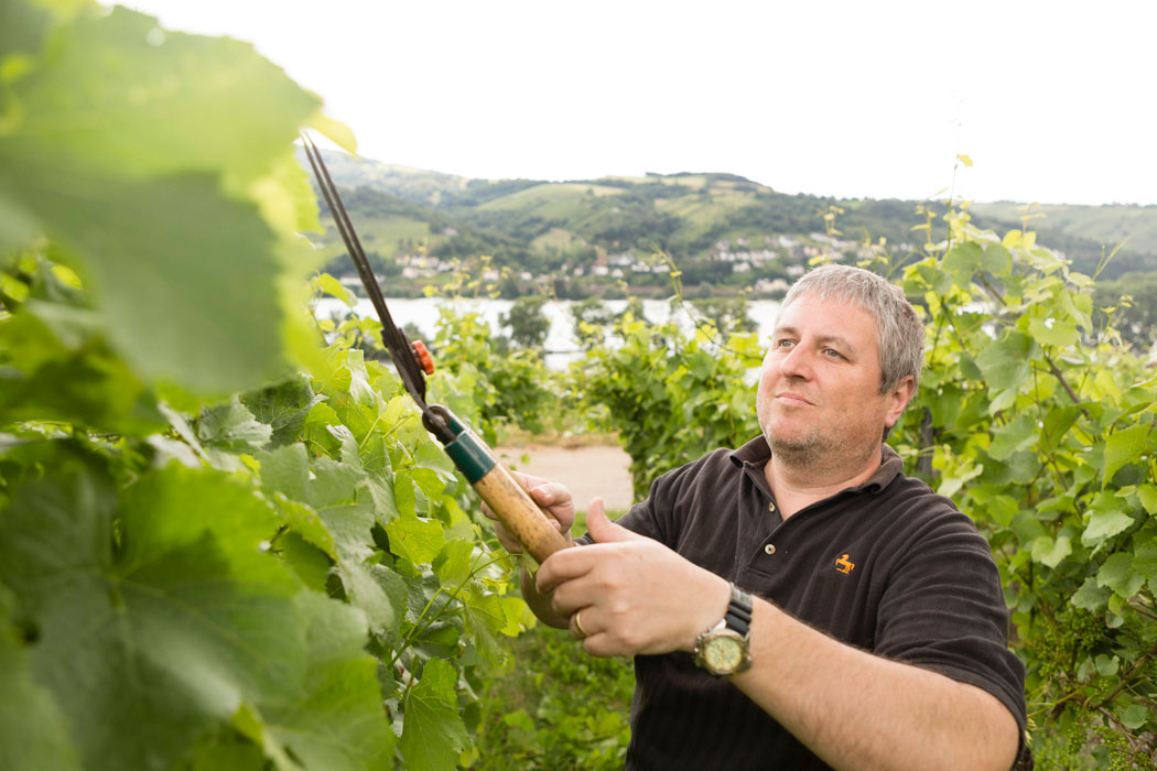 Winzer mit Korea-Connection: Robert Wurm vom Weingut Wurm, Lorch | nomyblog